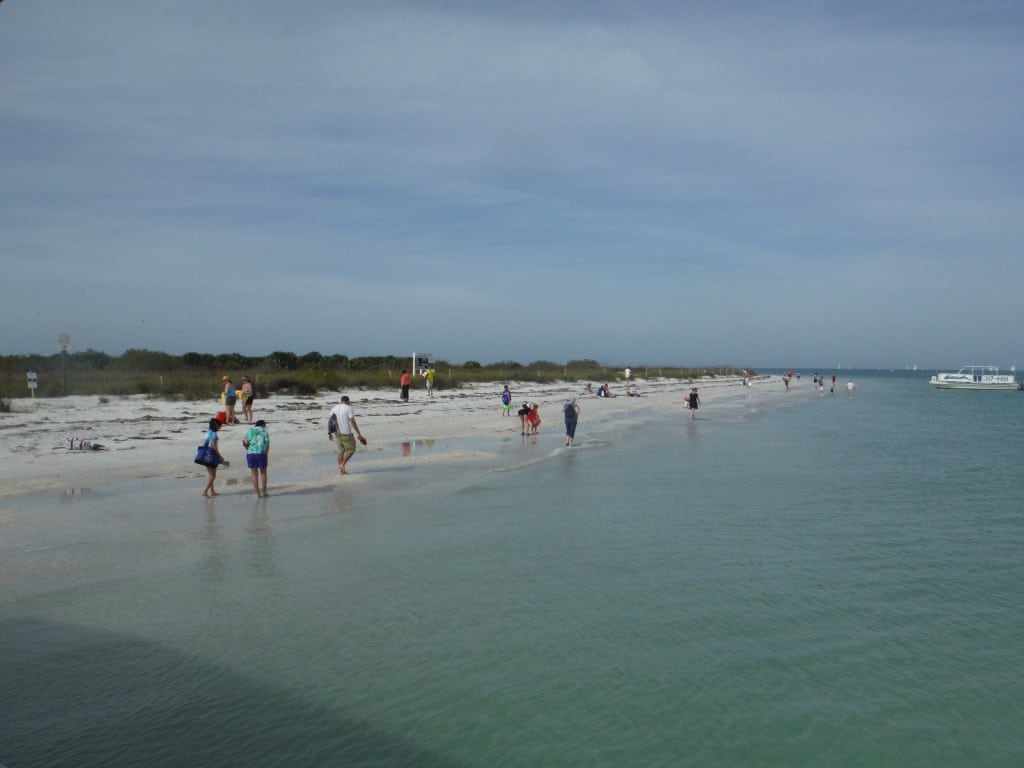 3 Hour Shelling Cruise