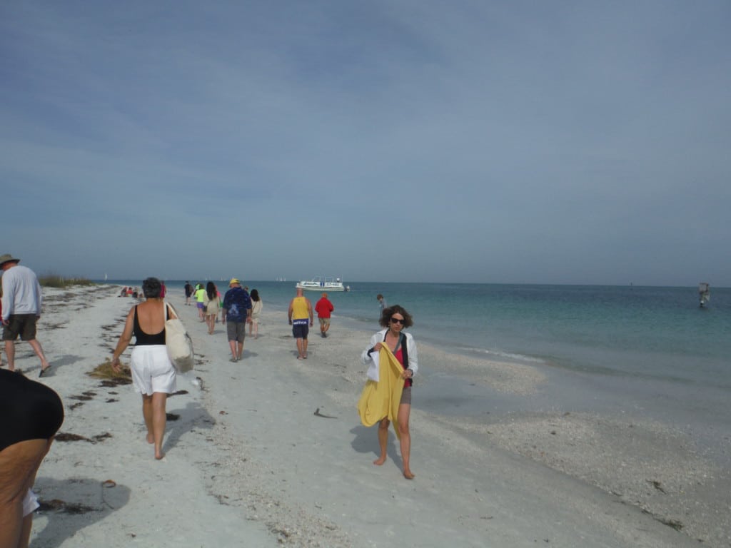 3 Hour Shelling Cruise