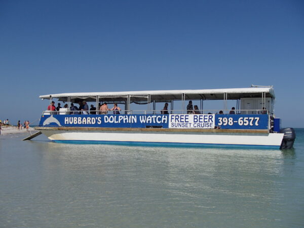 Sea Adventure | Big Blue Boat | Dolphin Watching Tours | Hubbard's Marina