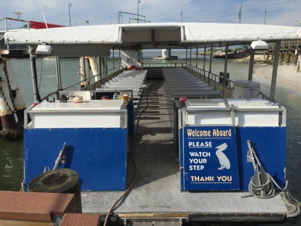 Sea Adventure | Big Blue Boat | Dolphin Watching Tours | Hubbard's Marina