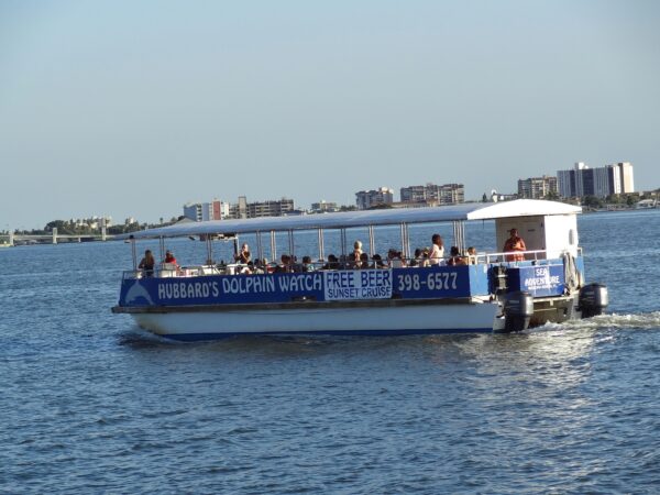 Sea Adventure | Big Blue Boat | Dolphin Watching Tours | Hubbard's Marina