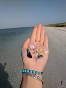 Shell Key Island | Hubbard's Ferry | Fort De Soto Park FL, 33715