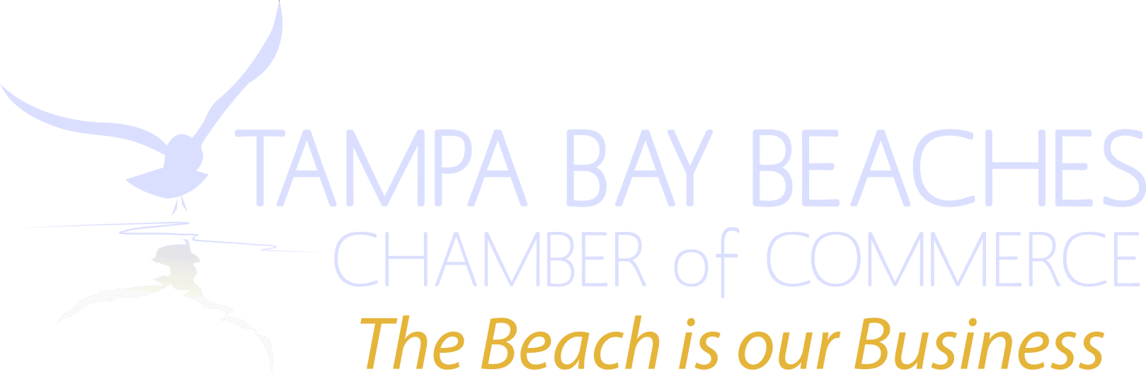 Shell Key Island | Hubbard's Ferry | Fort De Soto Park FL, 33715
