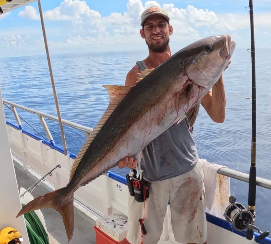 HM Fishing Report 9-9-22 | Hubbards Marina | Deep Sea Fishing | Dolphin ...