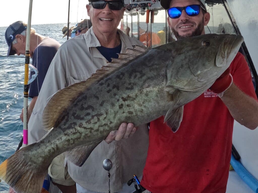 HM Fishing Report 11-11-22 | Hubbards Marina | Deep Sea Fishing ...