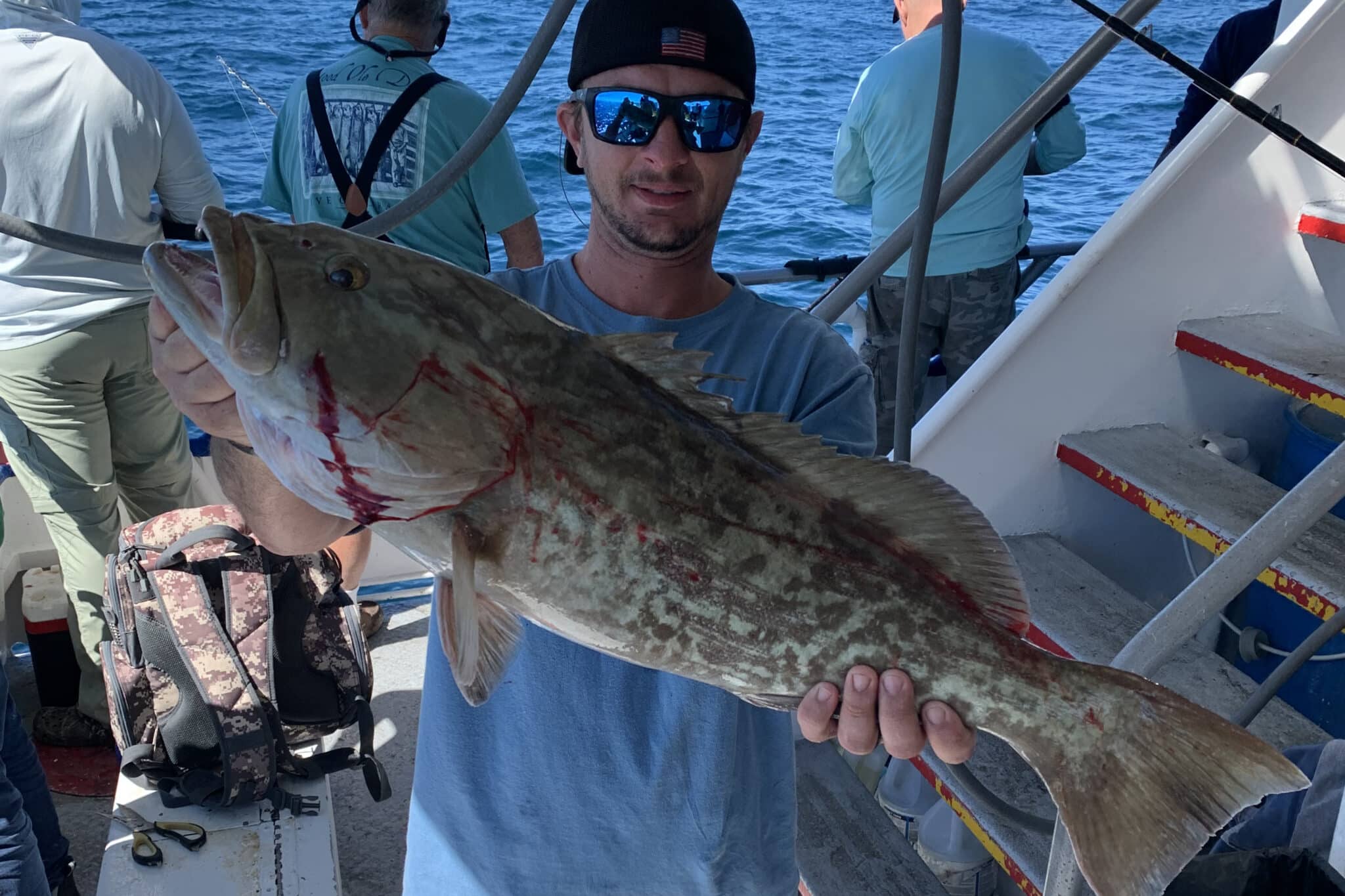 Tampa Fishing Charters | Hubbards Marina | Deep Sea Fishing | Dolphin ...