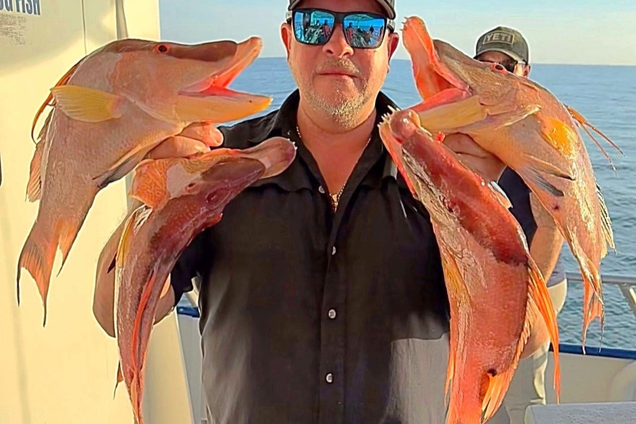 HM Fishing Report 12-27-24 | Hubbards Marina | Deep Sea Fishing ...