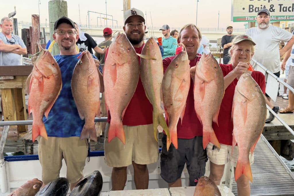 HM Fishing Report 11-29-25 | Hubbards Marina | Deep Sea Fishing ...